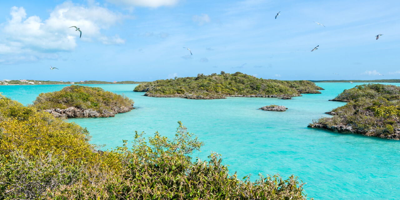 Turks and Caicos Nature & History | Visit Turks and Caicos Islands