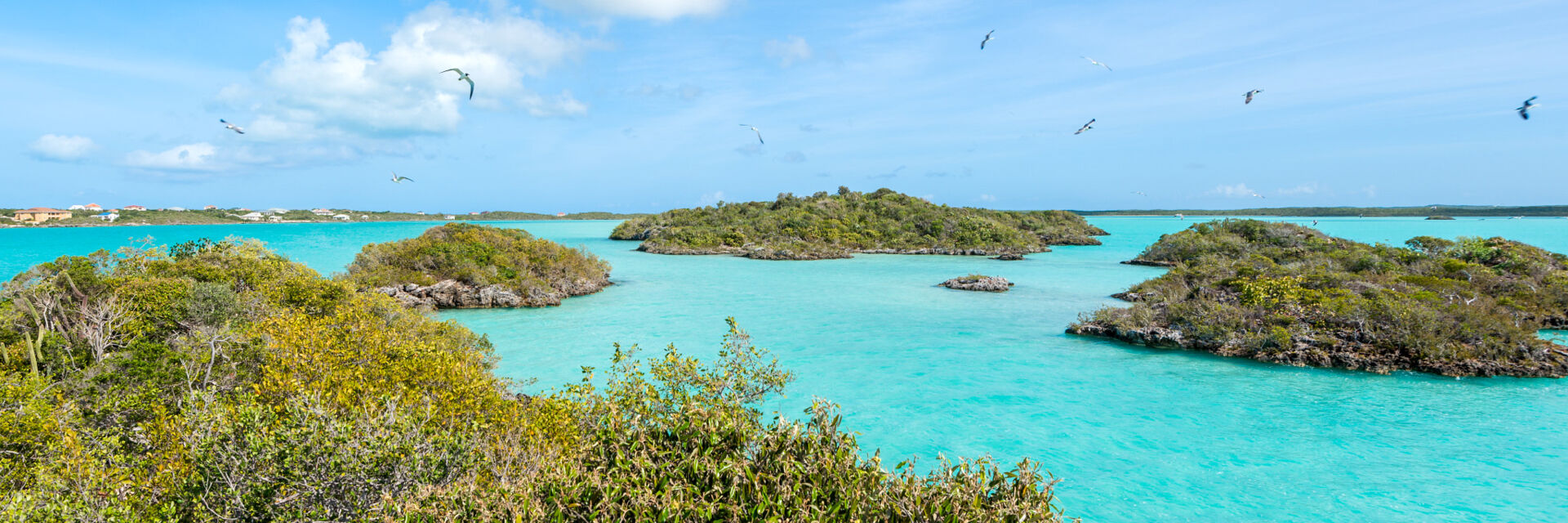 Turks and Caicos Nature & History | Visit Turks and Caicos Islands