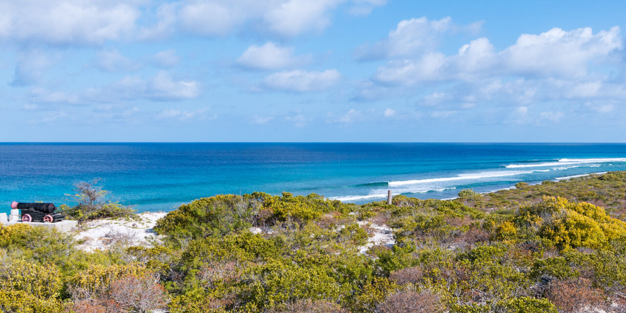 Day Trip to Salt Cay | Visit Turks and Caicos Islands