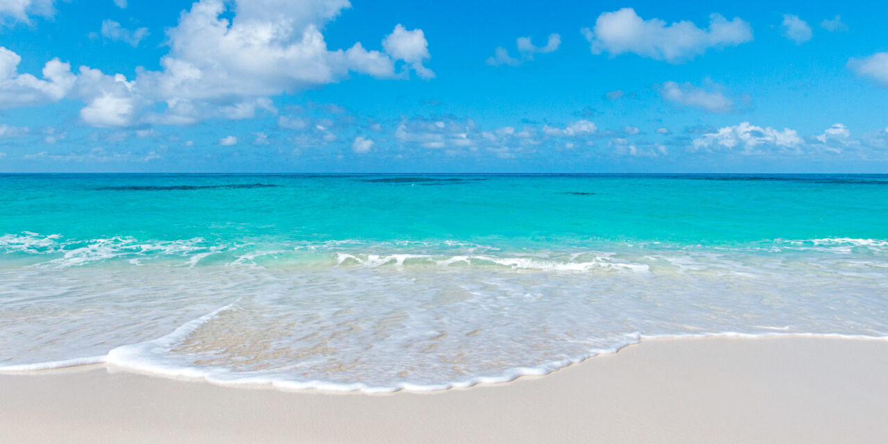 Beaches of Salt Cay | Visit Turks and Caicos Islands