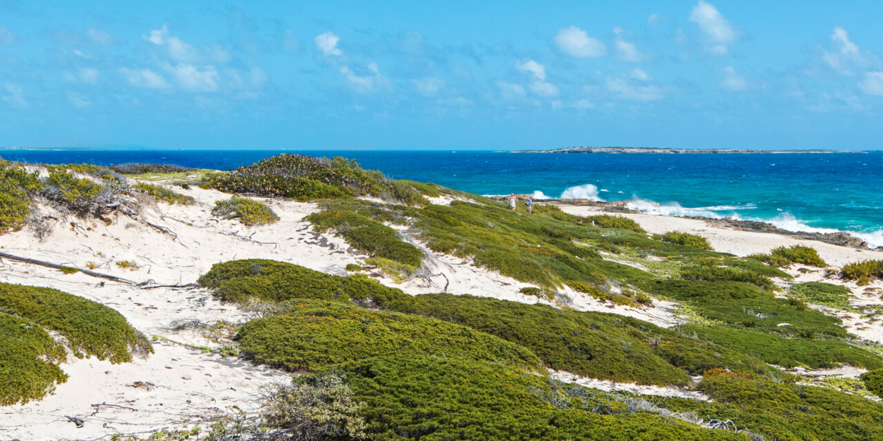 Exploring Salt Cay | Visit Turks and Caicos Islands