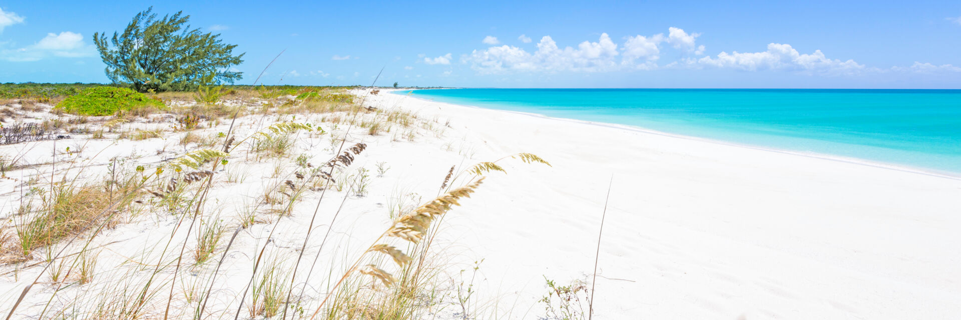 Pine Cay | Visit Turks and Caicos Islands