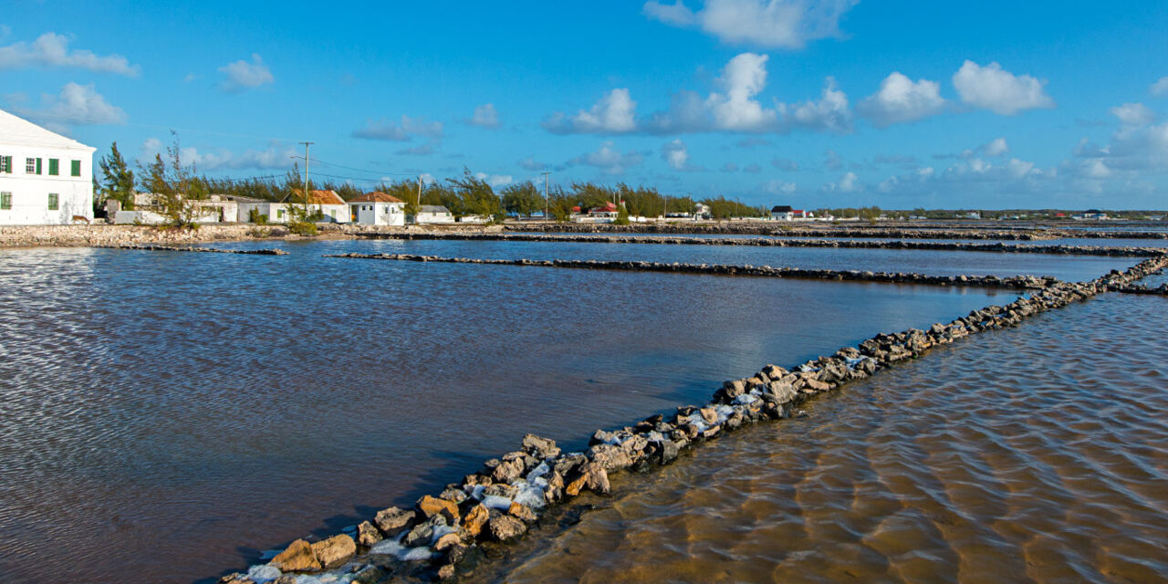 History and Overview of Salt Cay | Visit Turks and Caicos Islands