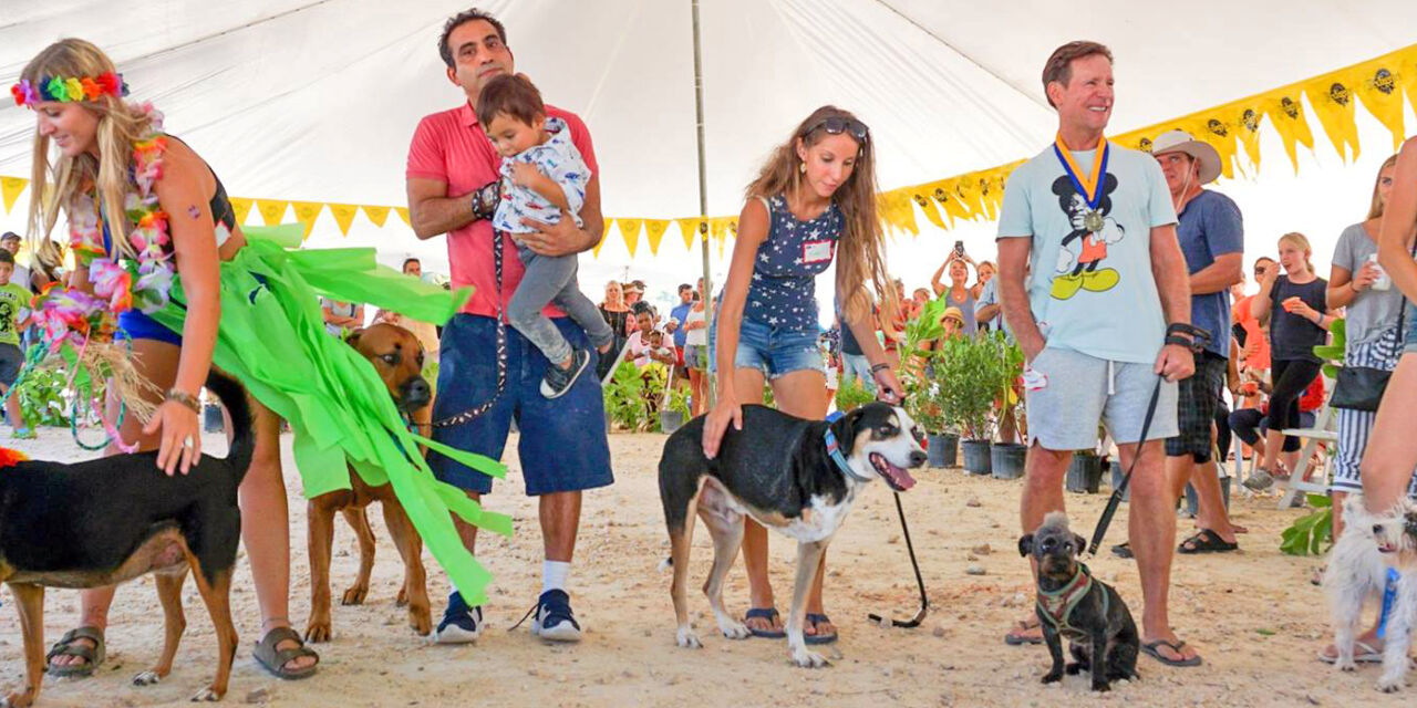 Charities, Non-Profits, and Volunteering | Visit Turks and Caicos Islands