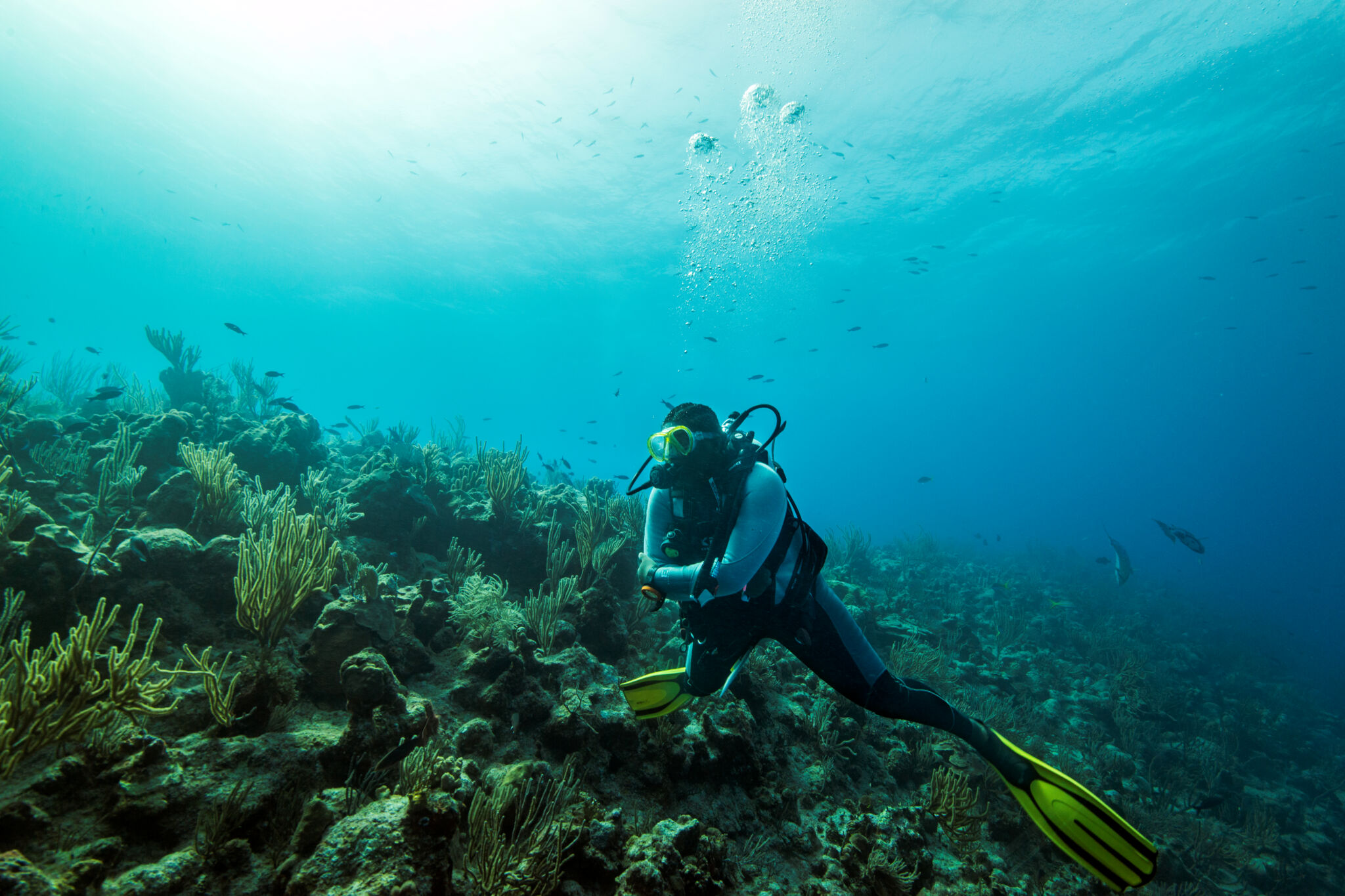 Grace Bay Diving