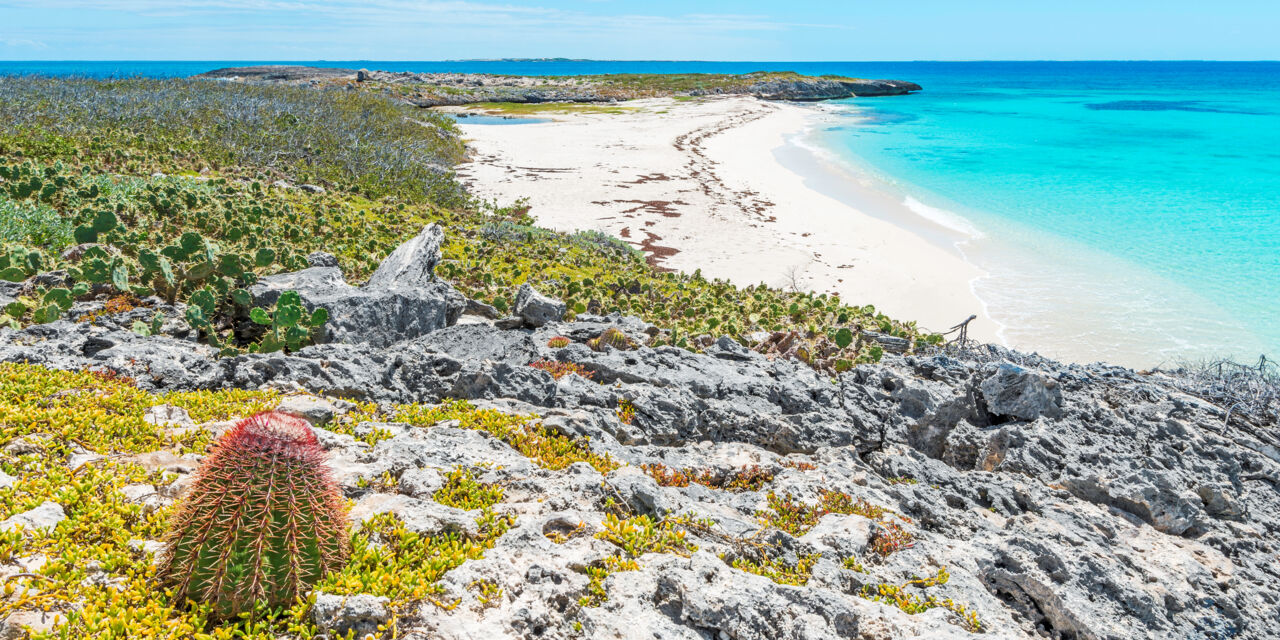 Fish Cay | Visit Turks and Caicos Islands