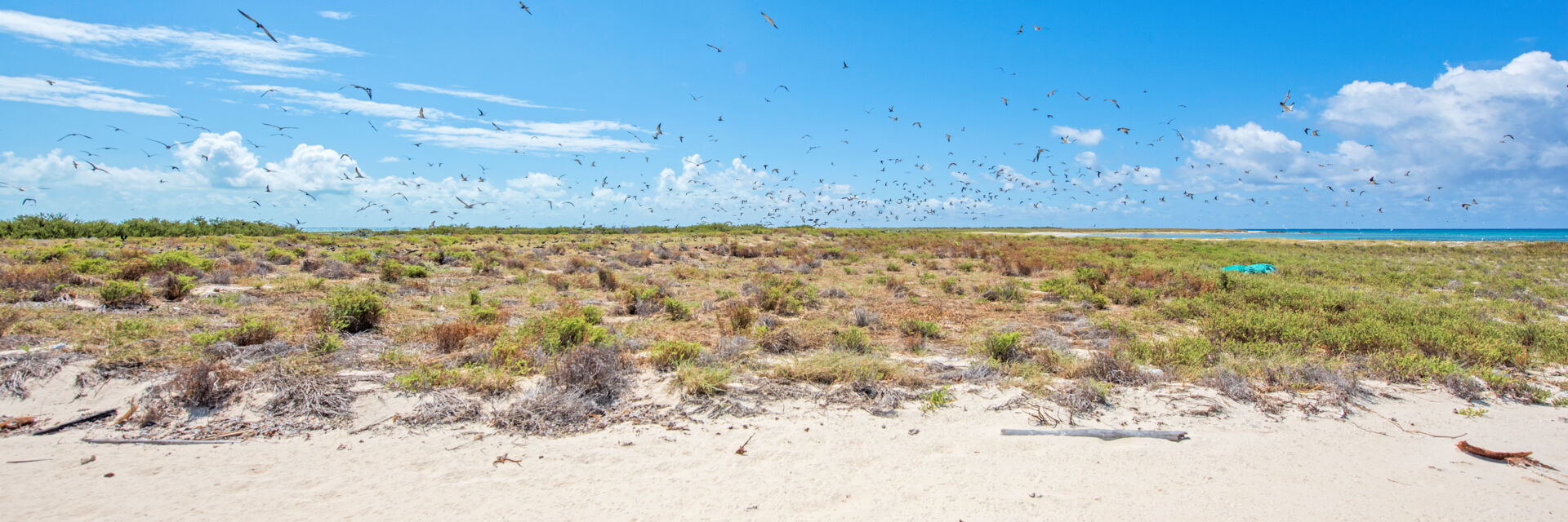 French Cay | Visit Turks and Caicos Islands