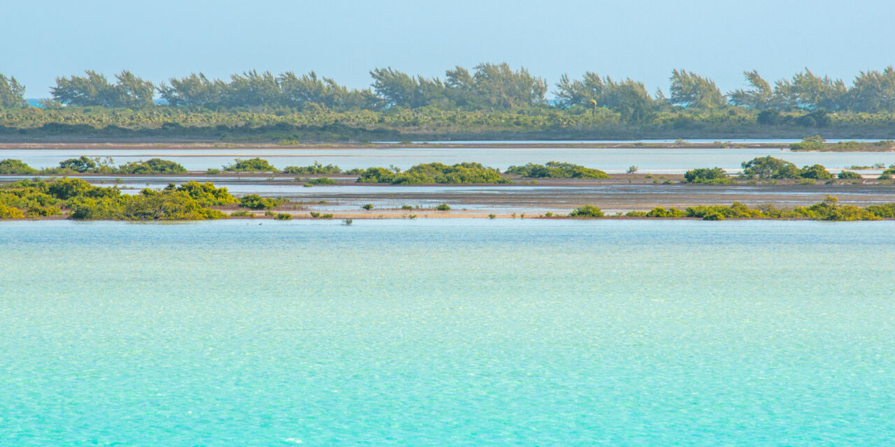 North Caicos and Middle Caicos Kayak Tours and Rentals | Visit Turks ...