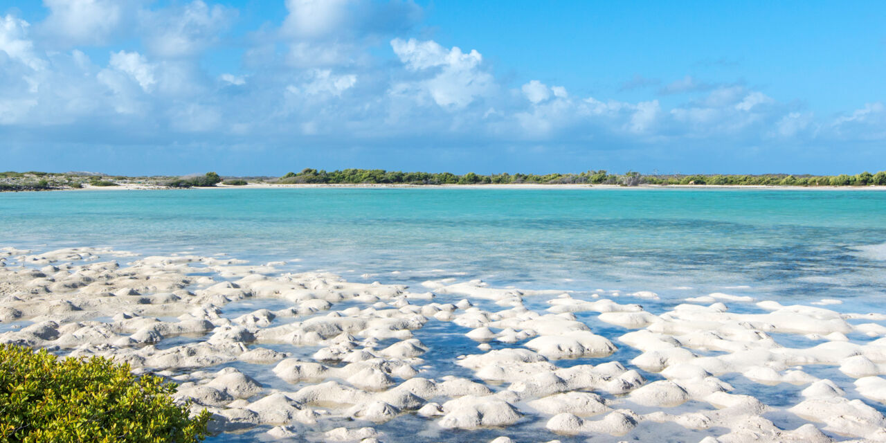 Salt Cay Kayak Tours and Rentals | Visit Turks and Caicos Islands