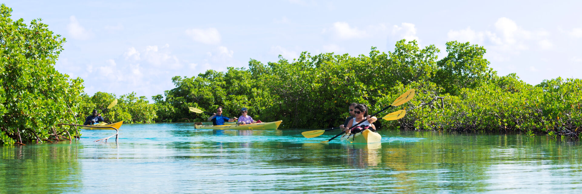 Guide to Kayaking in the Turks and Caicos | Visit Turks and Caicos Islands