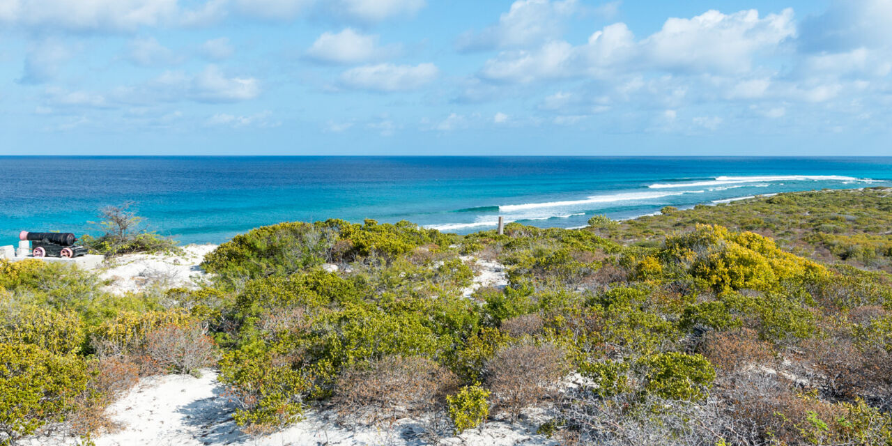 Little Bluff Lookout, Salt Cay | Visit Turks and Caicos Islands
