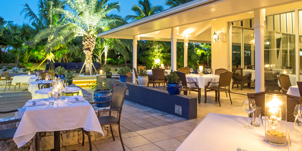 Opus Wine Bar and Grill | Visit Turks and Caicos Islands