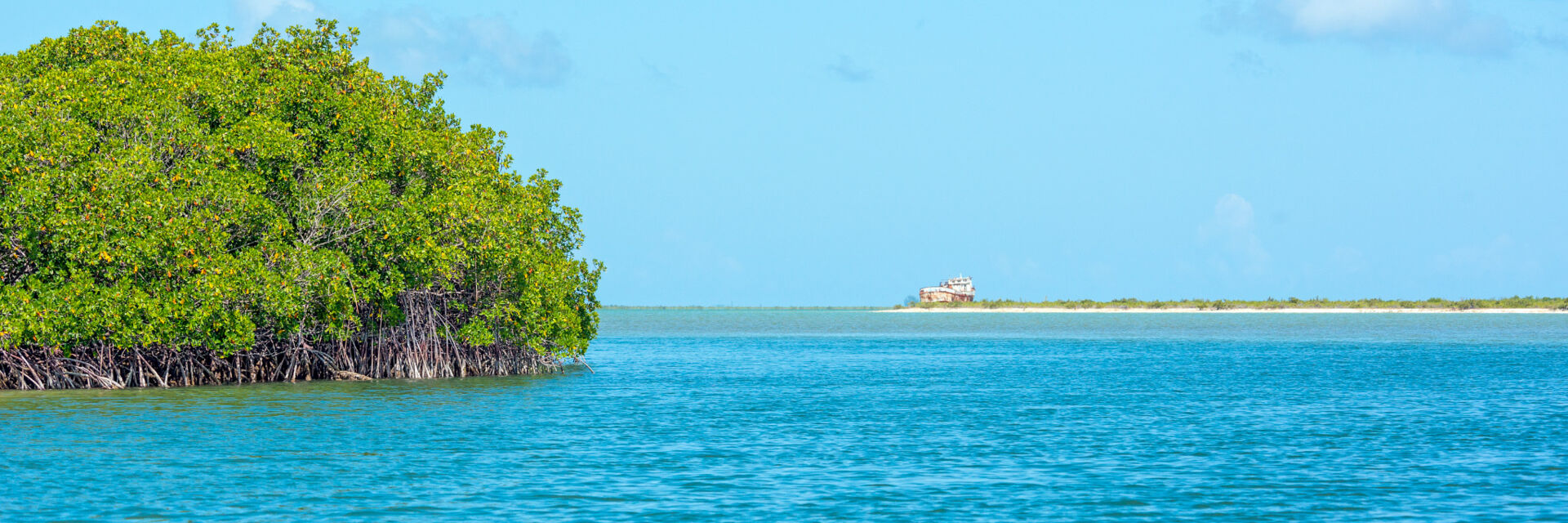 Ramsar Nature Reserve | Visit Turks and Caicos Islands