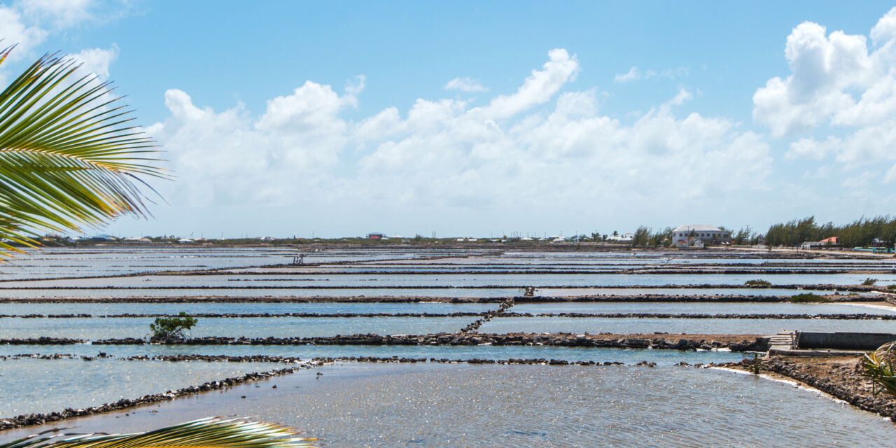 Salt Cay Salinas | Visit Turks and Caicos Islands