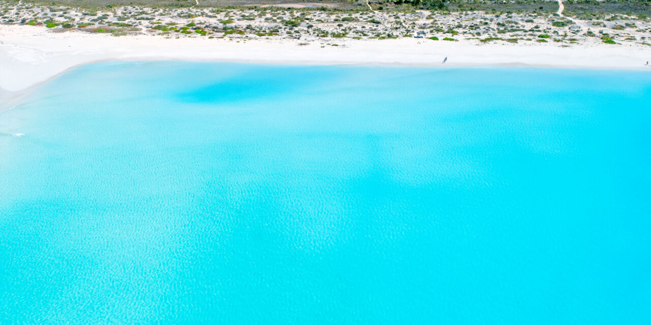Sand Dollar Cove | Visit Turks and Caicos Islands