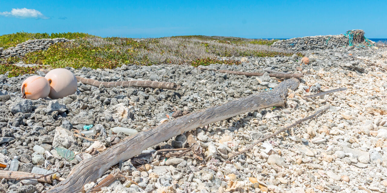 Thatch Cay | Visit Turks and Caicos Islands